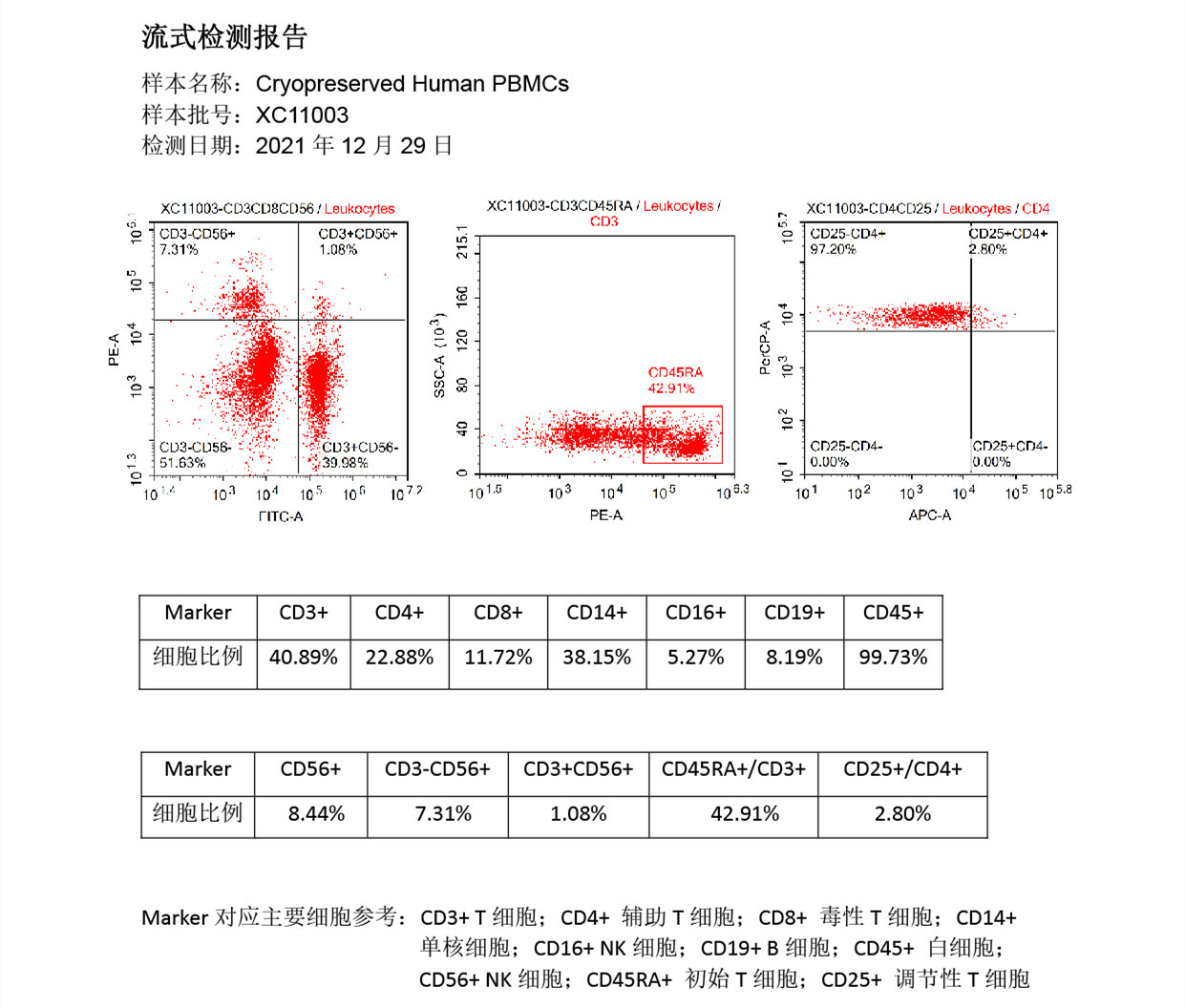 PBMC的分离服务-赛笠生物